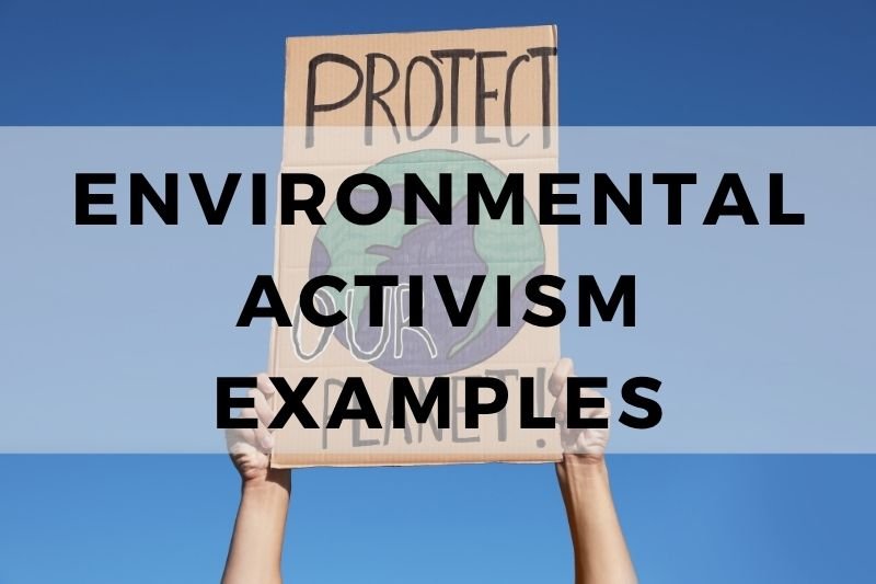 Examples of Environmental Activism That Changed the World - Embracing ...