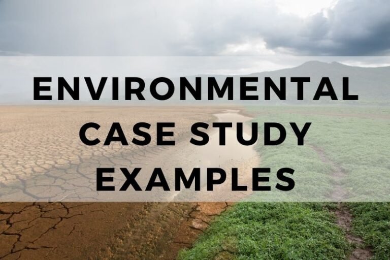 15 Examples of Environmental Case Studies (Copy Them!) - Embracing ...